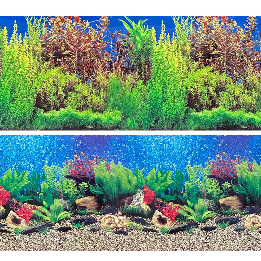 Фон для аквариума Marina двусторонний река/океан 10 x 30 см - доставка по Украине | ZooCool.com.ua